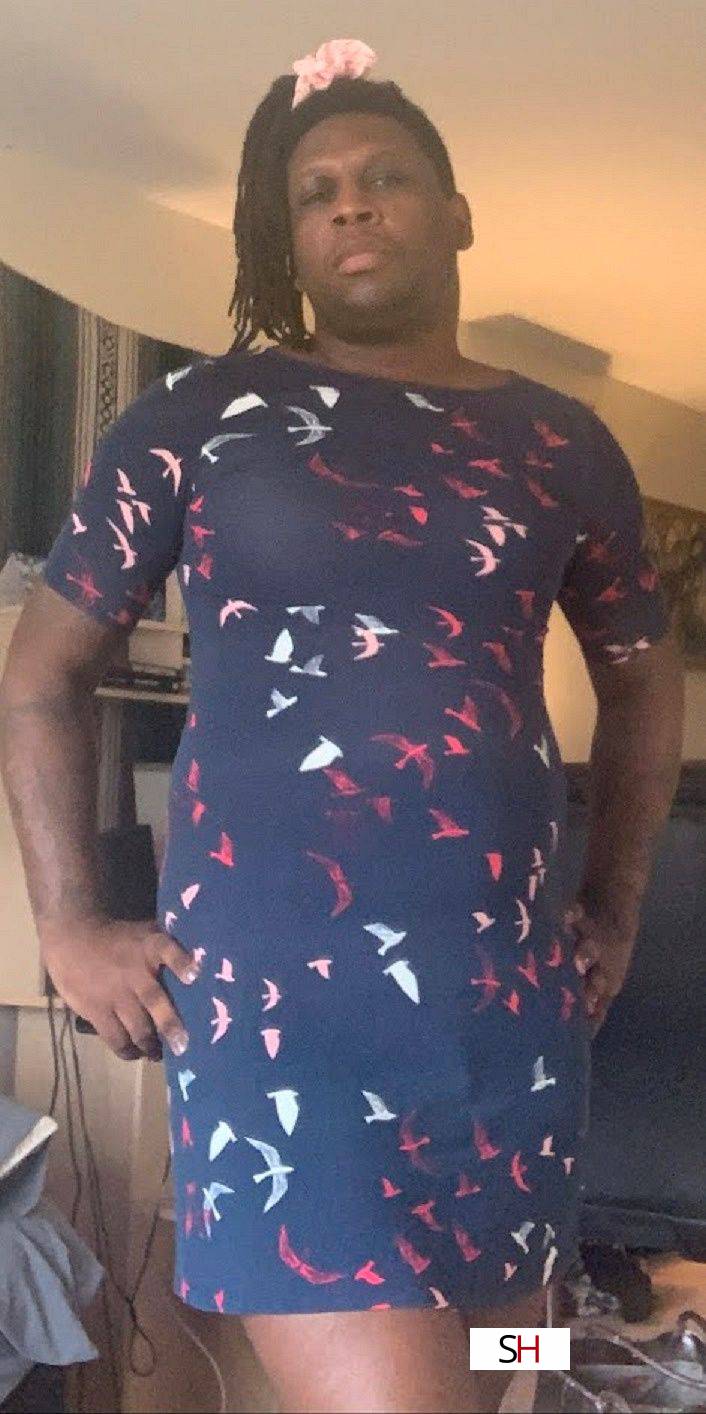 +17813001083 Camille: Escort Boston MA - Black, Incall