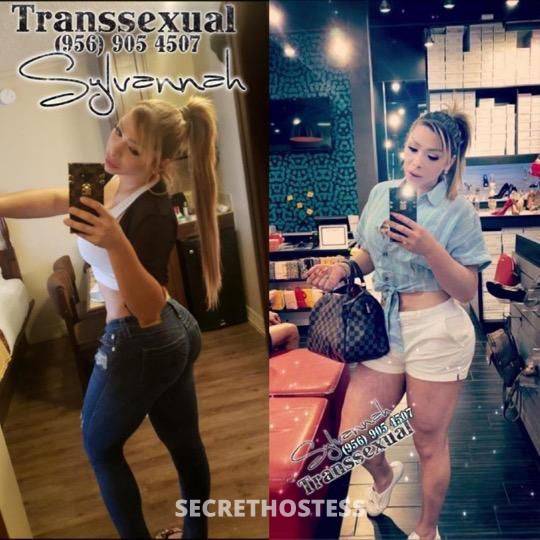 Escorts In Mcallen Tx